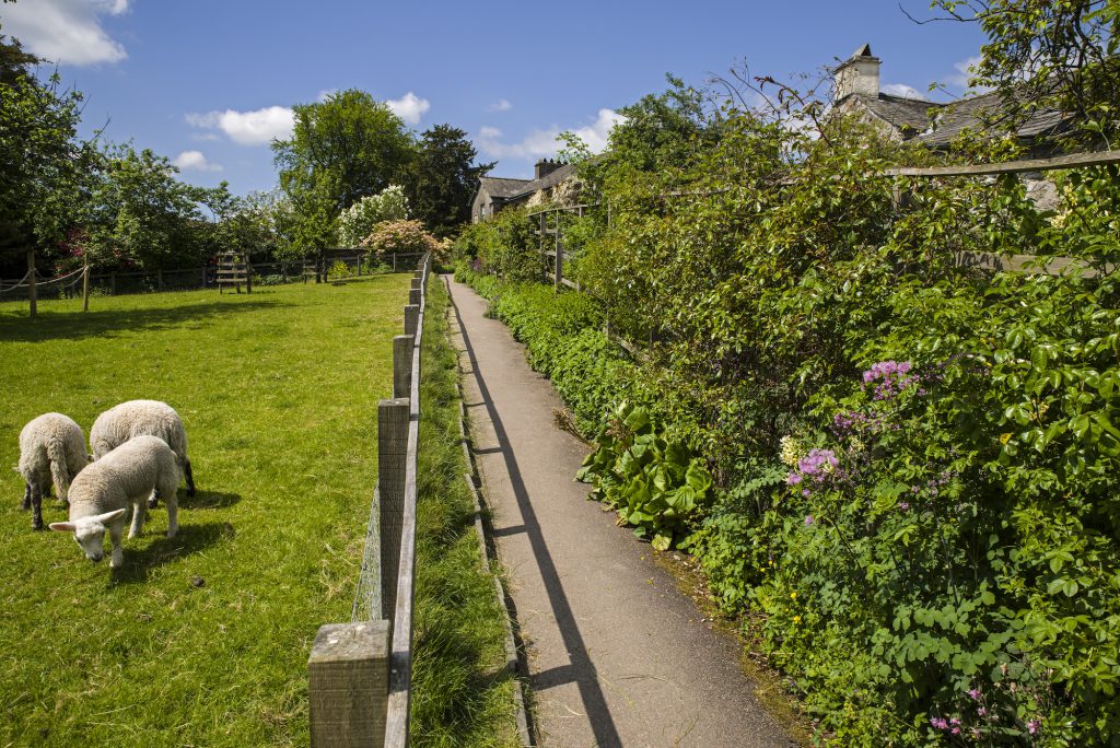 Top 10 Best Things to Do in North-West of England with Kids | Campsited