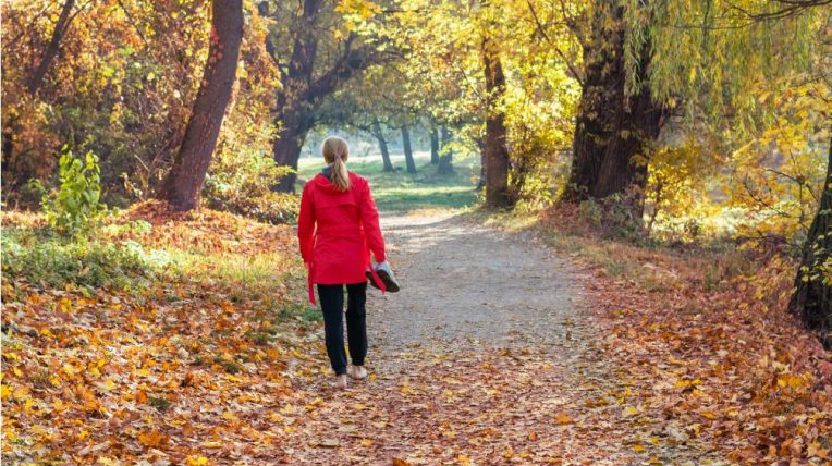 The Benefits of Walking Barefoot in Nature | Campsited
