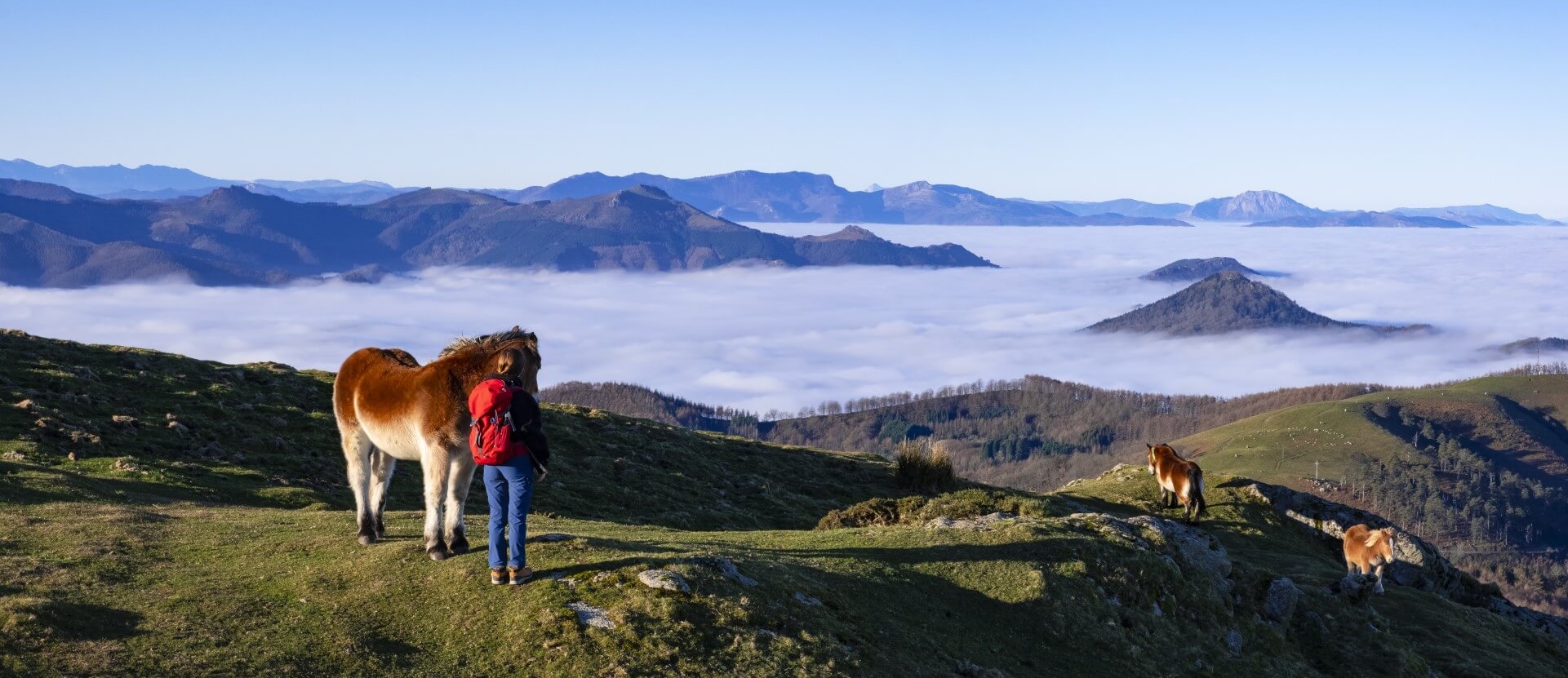 Campsites in the Basque Country - Book Your Camping Holiday | Campsited