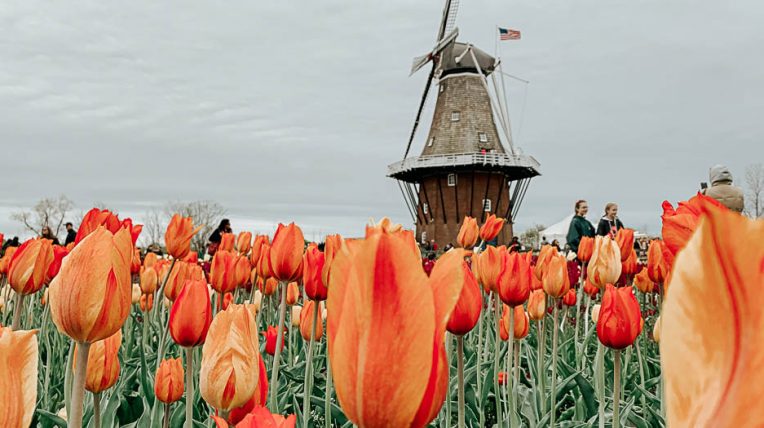 Open-Air Holidays in the Netherlands: Where to Stay & Things To Do