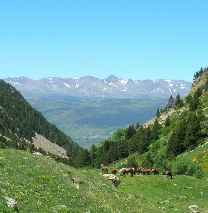 Réservez les meilleurs campings ! - Campsited
