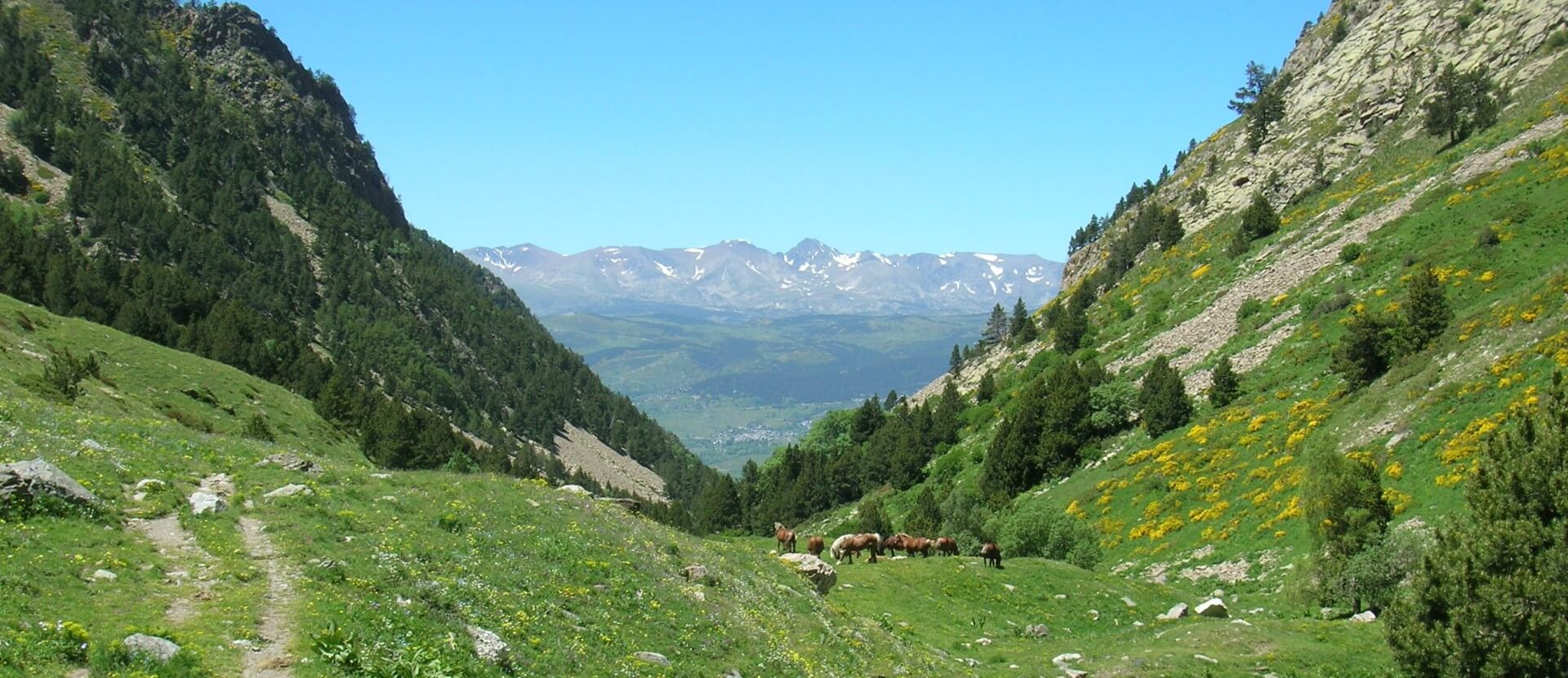 Campsites in the Pyrénées-Orientales - Book a Camping Holiday | Campsited
